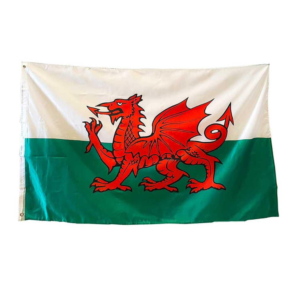 Welsh Dragon Pole Flag 2ft x 3ft — Just Wales